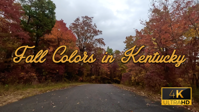 Fall Colors in Kentucky | Capture Kentucky
